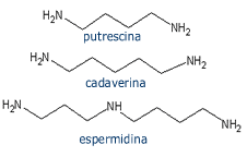 Alguns nomes curiosos da Química
