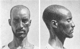 Racial Reality - Caucasoid Subraces