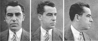 Racial Reality - Caucasoid Subraces