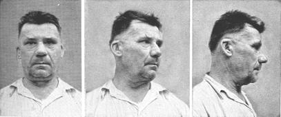 Racial Reality - Caucasoid Subraces