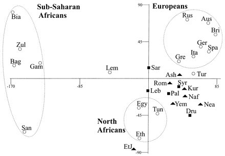 Racial Reality - North Africans