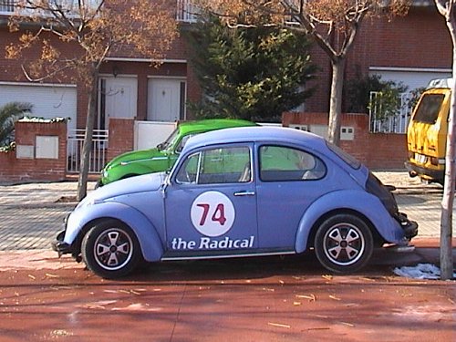 the RADICAL Beetle Co.