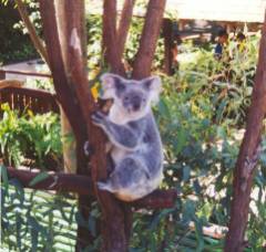 WHAT ARE PEOPLE DOING TO HELP