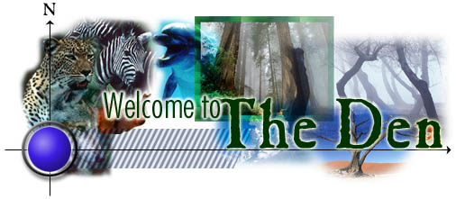 The Den