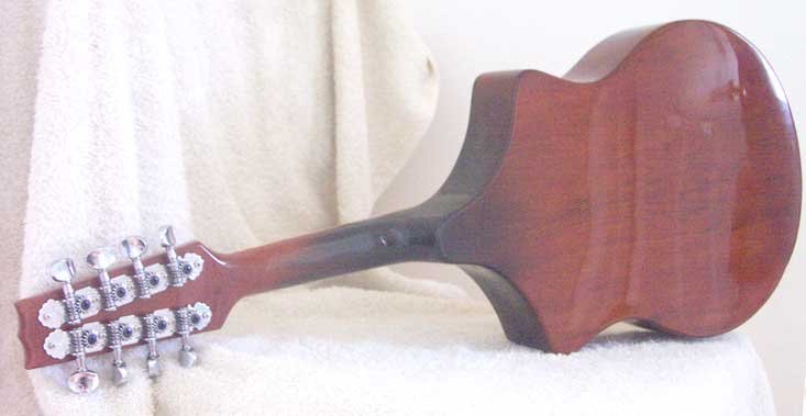 The Randolin 8-String mandolin8 String Electric Mandolin Professional ...