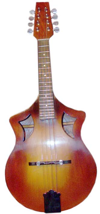 The Randolin 8-String mandolin8 String Electric Mandolin Professional ...