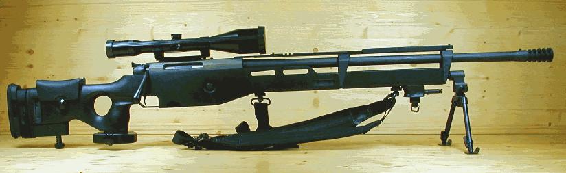 Sniper Rifles