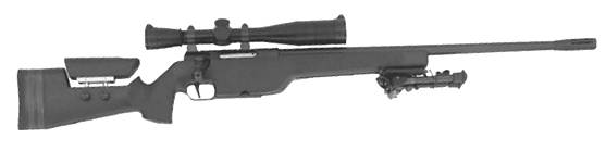 Sniper Rifles