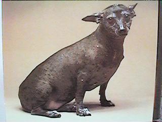 Raul_Olascoaga´s Home Page