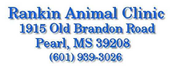 Rankin Animal Clinic - Pearl, MS.