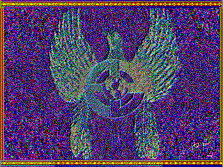 Festival of Four Directions