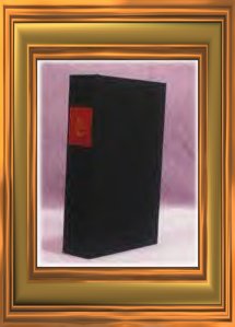 Portfolio Presentation