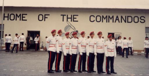 Memoirs of a Singapore Commando