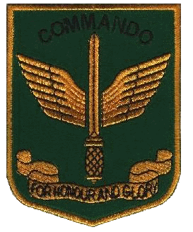 Singapore Commando Logo I Wanted To Stretch My Limits': How An SAF