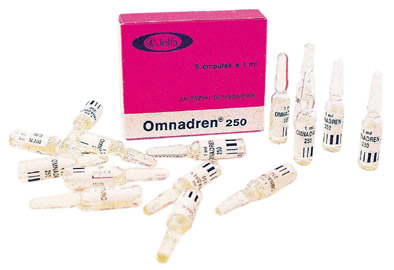 science of bodybuilding