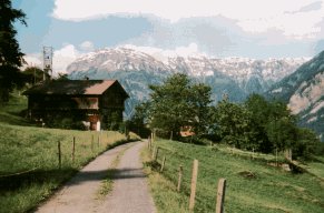 Isleten Isenthal Bärchi Bauen Isleten Mountainbike Touren Schweiz ...