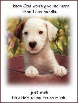 Personal Page of Jessica Renee' Harvell