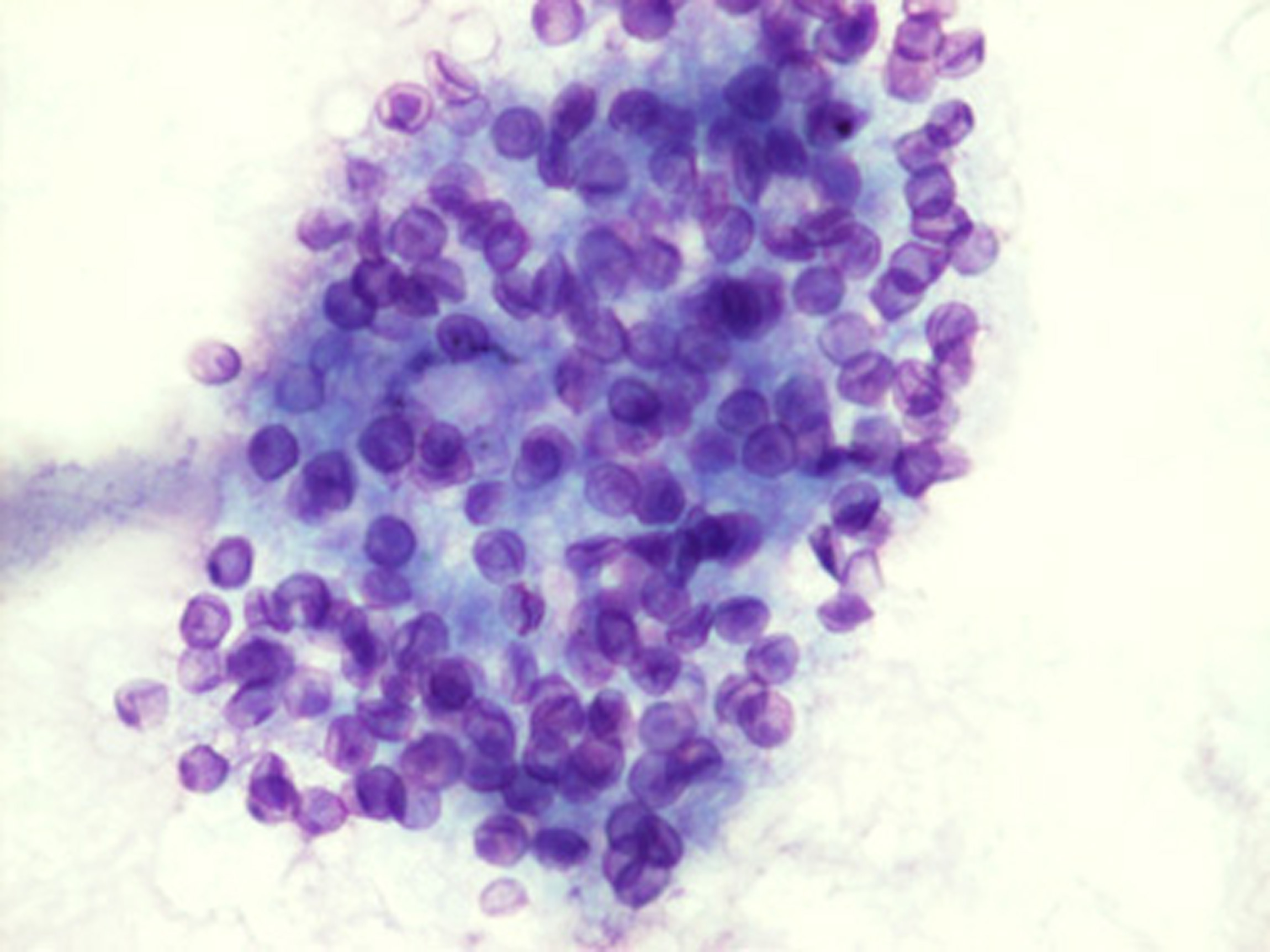 Untitled Document [www.geocities.ws]