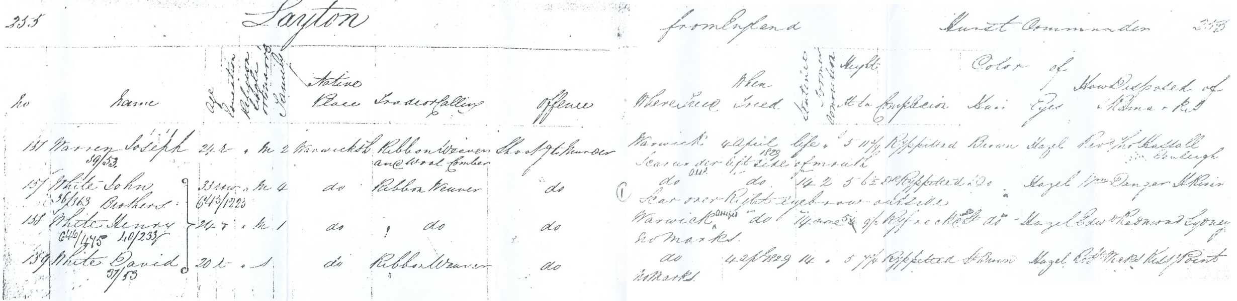 Convict Tales & Ancestors - Merevale Poachers