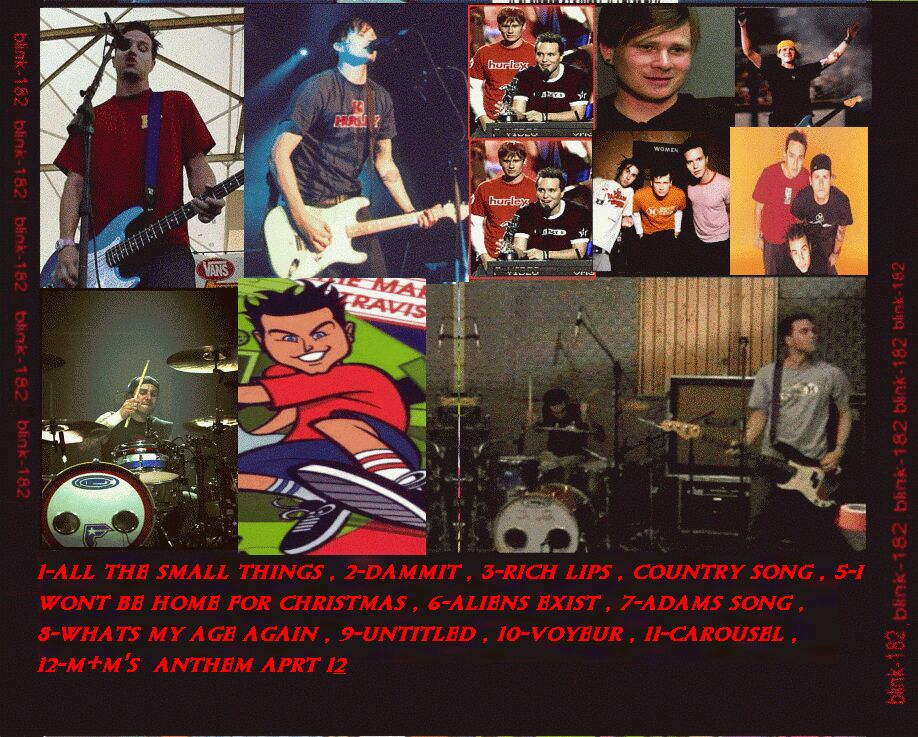 The Mark Tom And Travis Show Wallpaper