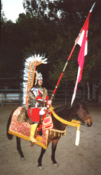 Modern Hussar Cavalry