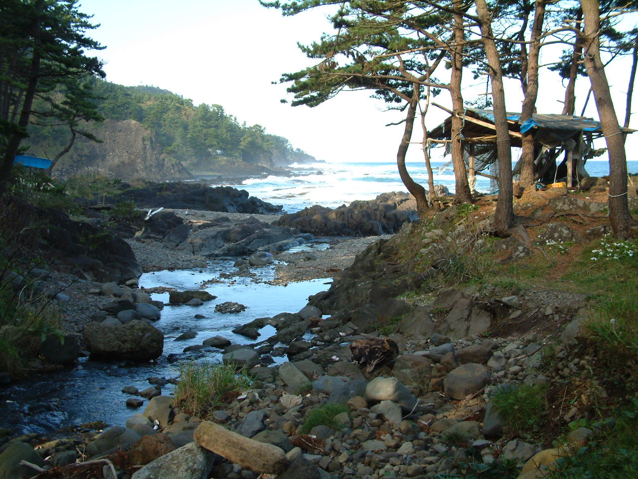 What's going on at Misawa