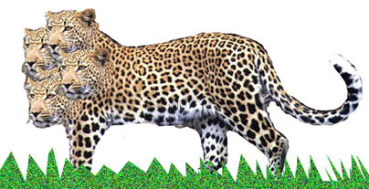 leop[ard with 4 heads