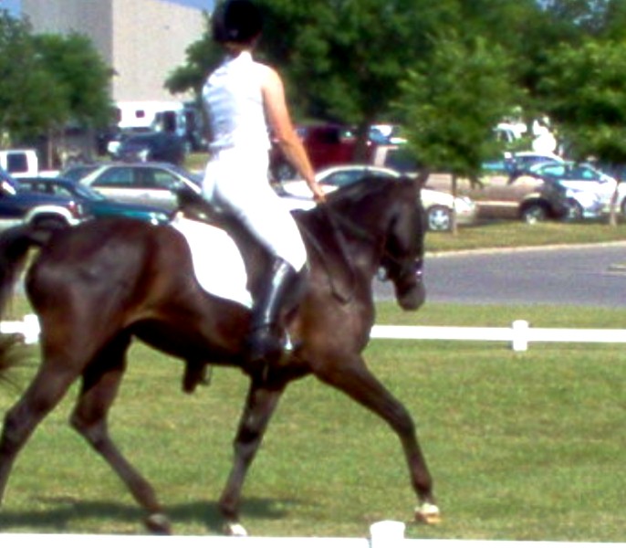 Erin Reece's Instagram, Twitter & Facebook on IDCrawl