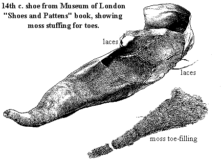 Crakows or poulaines (Pointy toed shoes)