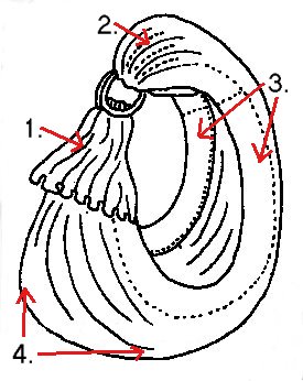 Rocking Thistle - Sling Instructions