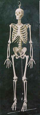 Untitled Normal Page