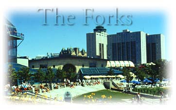 The Forks