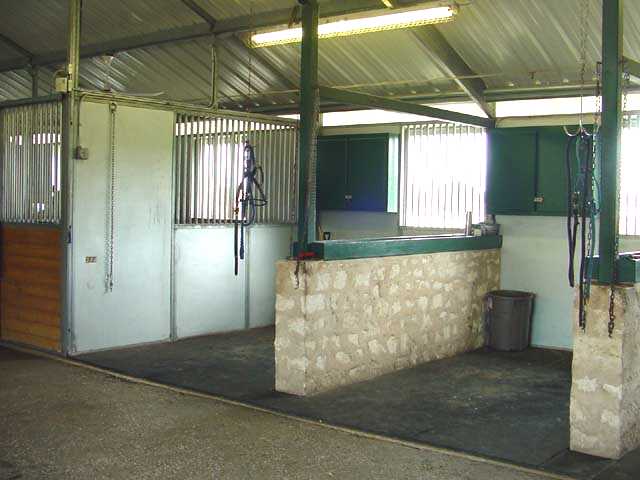 index [www.geocities.ws]