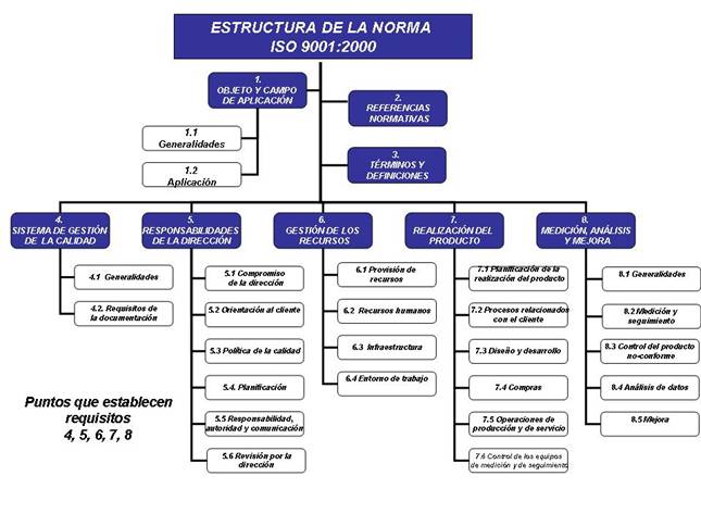 Figura 6: Estructura de la Norma ISO 9001:2000