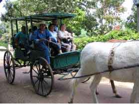 Roseanne T. Sullivan: Nuestros Pequeños Hermanos, Mexico