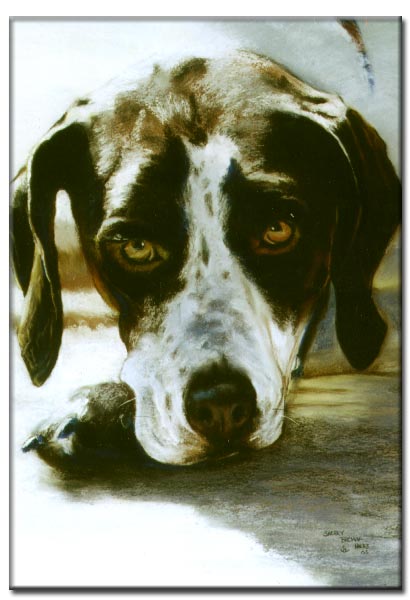 Rotating Exhibits - Sherry Hicks