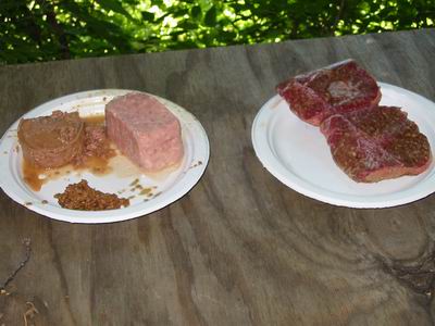 Rotting Food Project 2 Day 1 (Cont.)