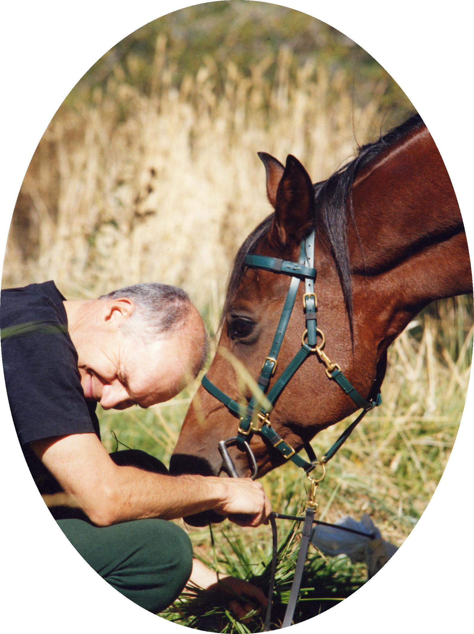 index [www.geocities.ws]