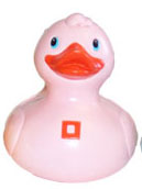 Pink Rubber Ducks