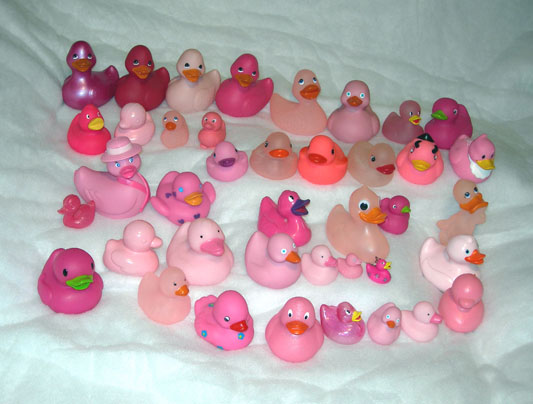 Pink Rubber Ducks