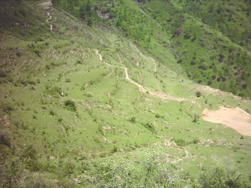 Recently, a friend of mine came back from a tour of Garhwal and he was ...