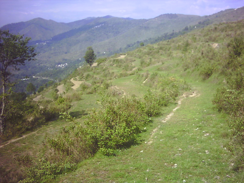 Recently, a friend of mine came back from a tour of Garhwal and he was ...