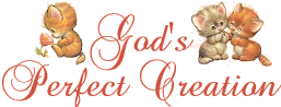 God's Perfect Creation