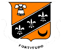 Neumann Knights Logo