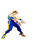 Cammy and Chun Li GIFs