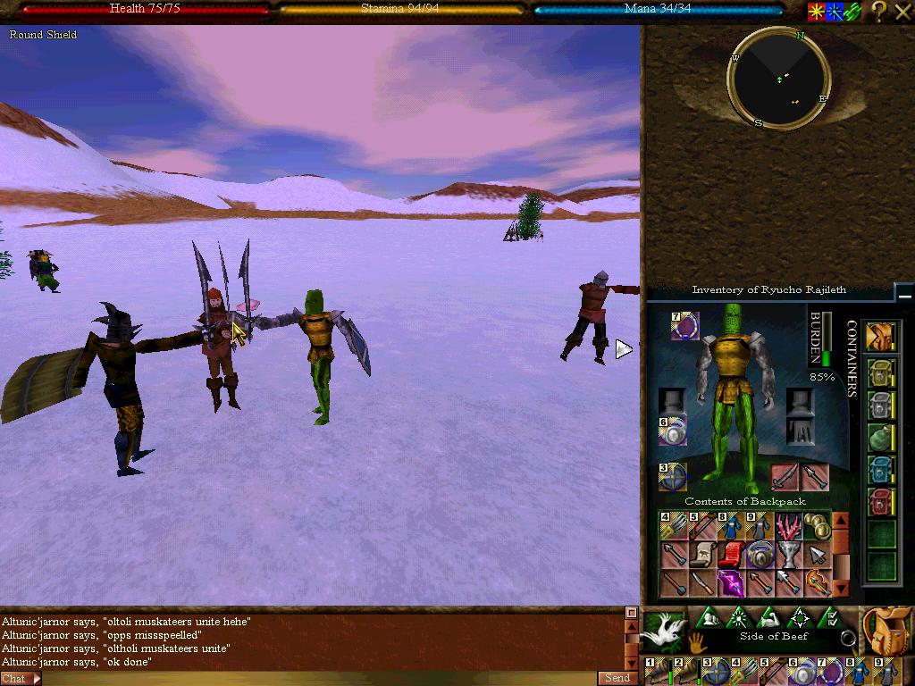 Asheron's Call Screenshots