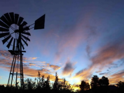 Farming in South Africa - Come for a visit.