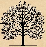 (Perry & Rita's Family Trees)