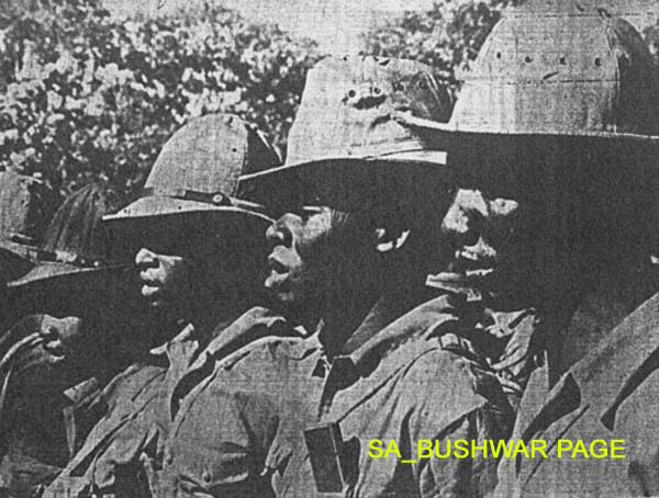 index [www.geocities.ws]