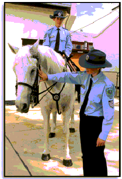 SA Police Rangers - Pictures